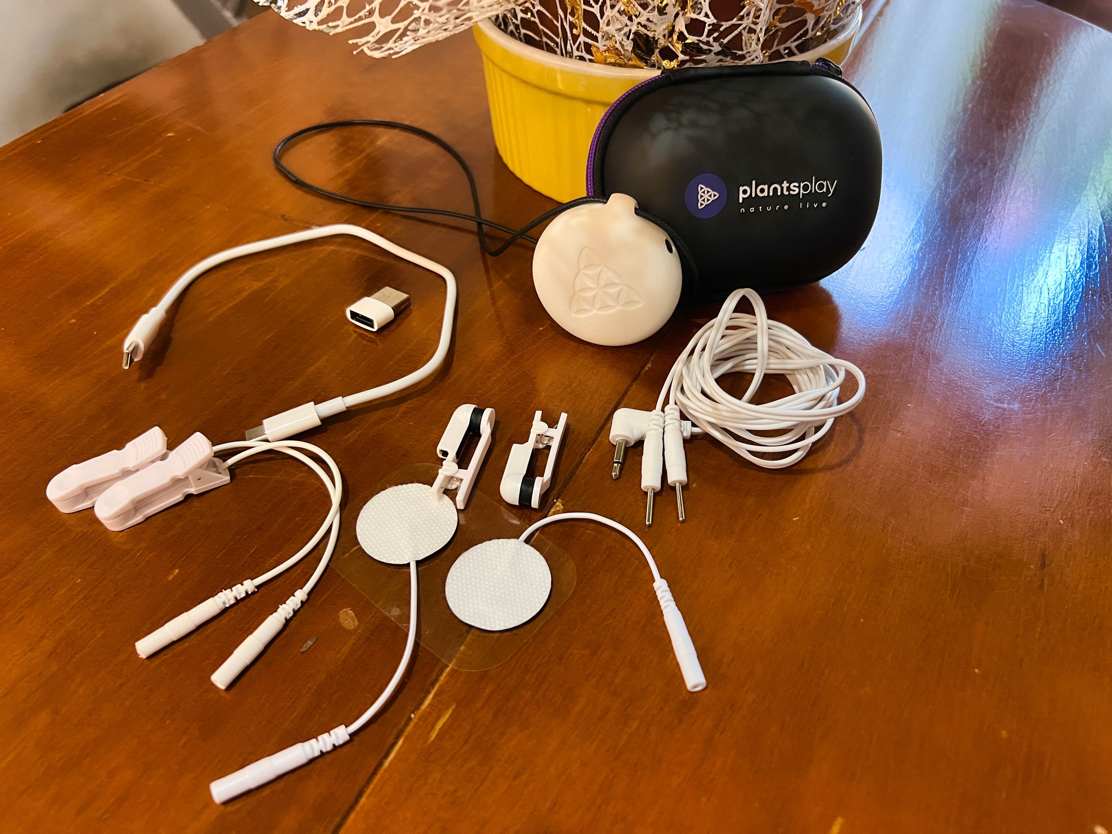 PlantsPlay 2 - Dispositivo per la musica delle piante